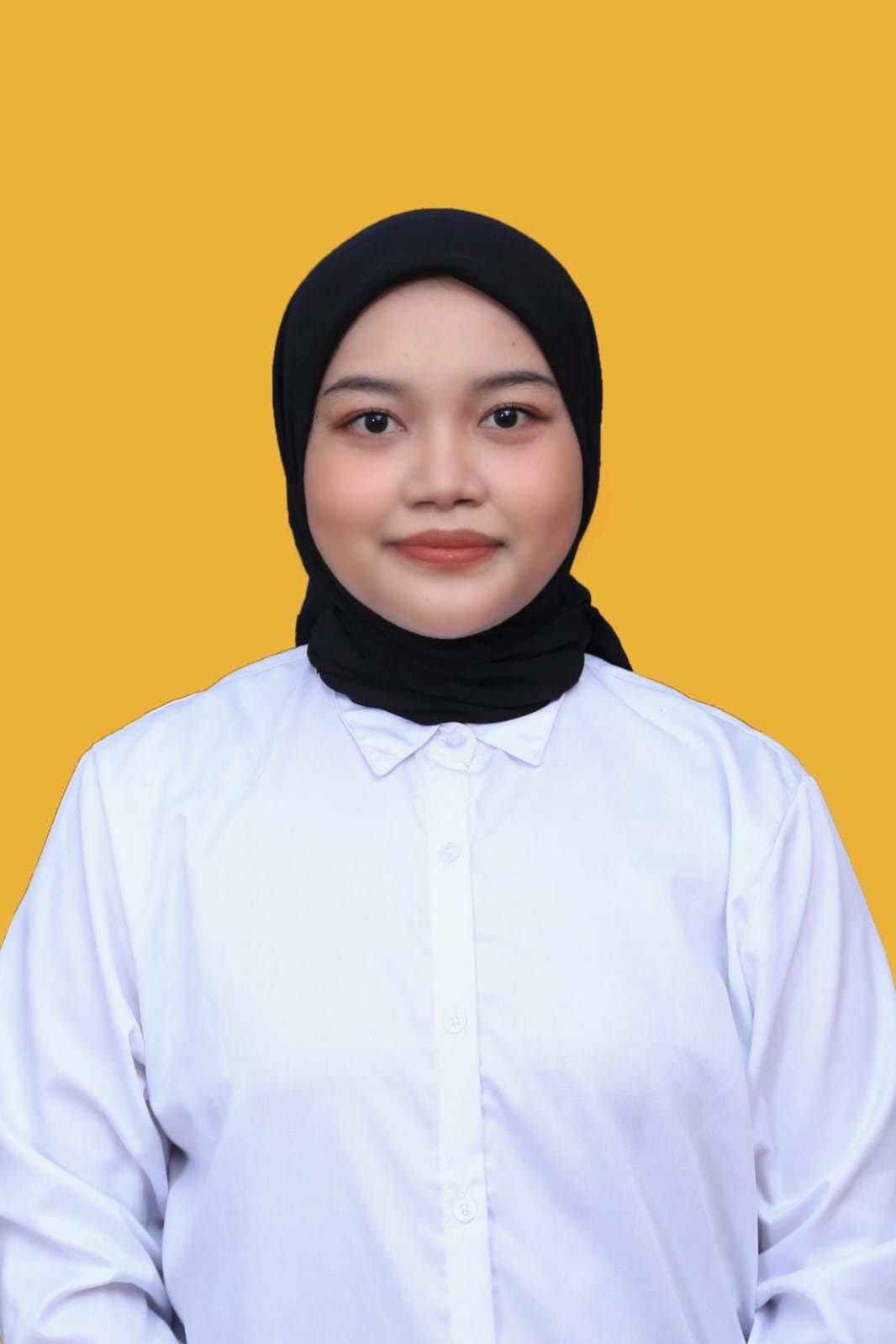 Website Pengadilan Negeri Lasusua | Hakim